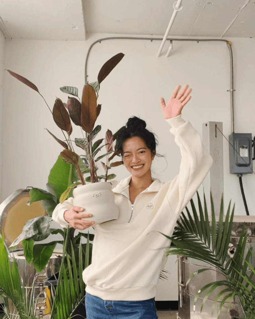 Grumpy Kid Studio - Eco-Friendly Protective Packaging — LeKAC